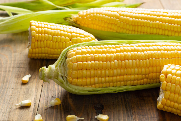 Metro Seed Agricultural Co.,Ltd